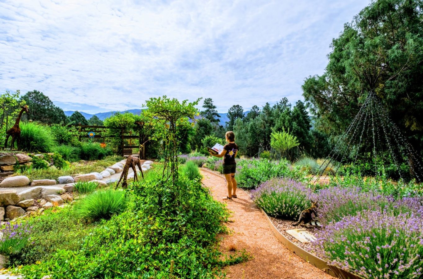 Landscaping Education and Rain Water Harvesting - Columbine Landscapes Co.