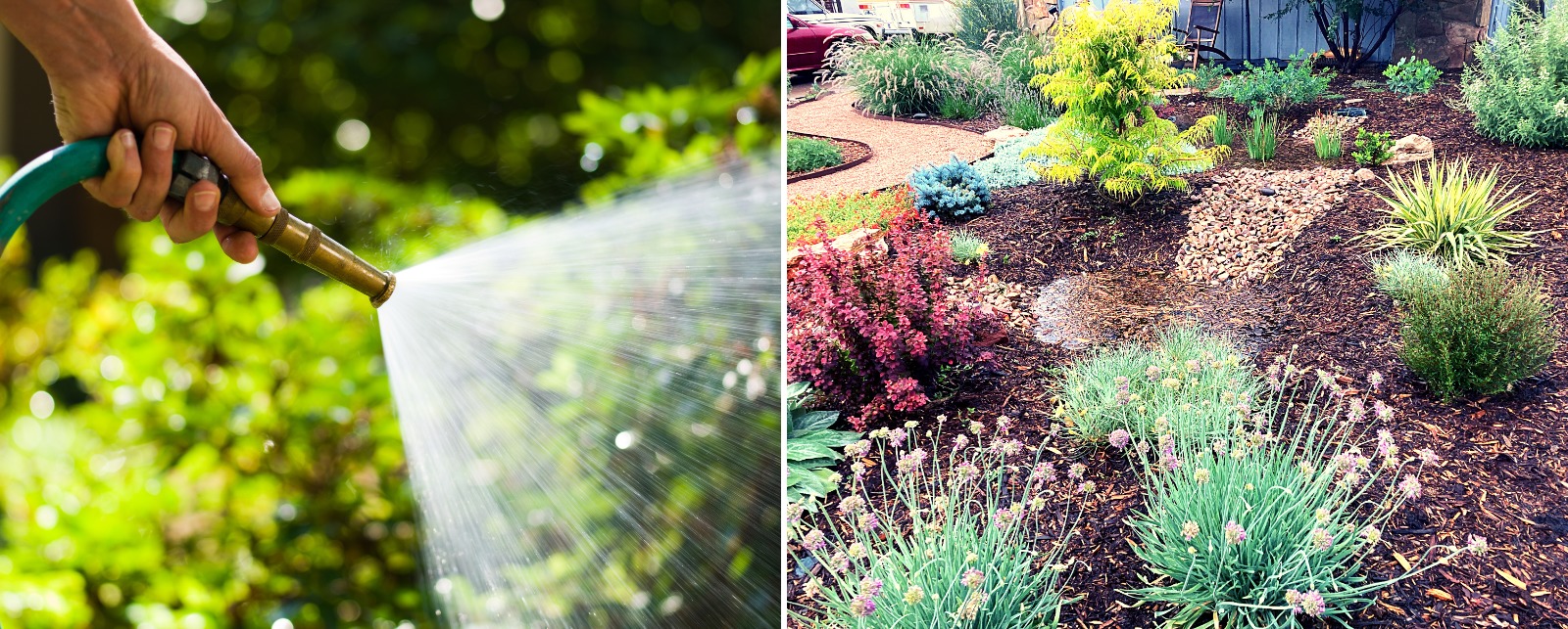 5 Simple Ways to Fine Tune your Watering for Drought Resiliency ...